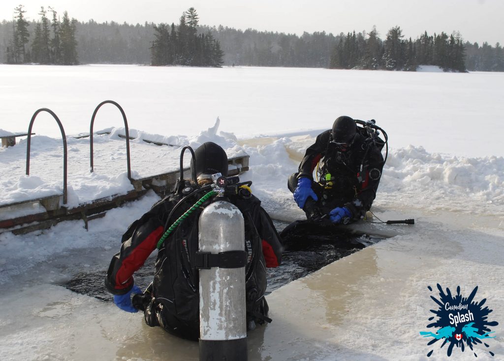 The Underwater World of Canada in Photographs