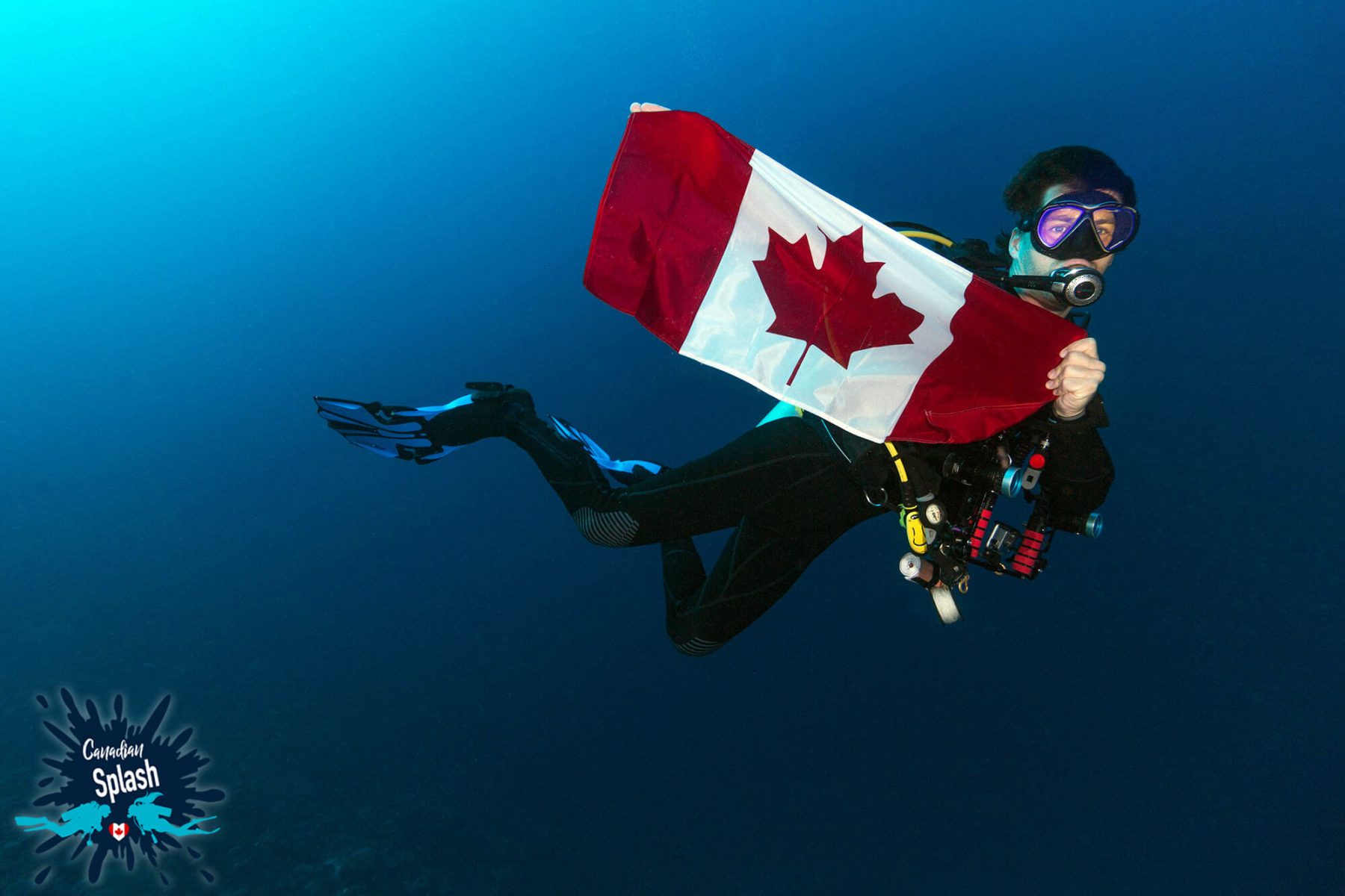 The Underwater World of Canada in Photographs